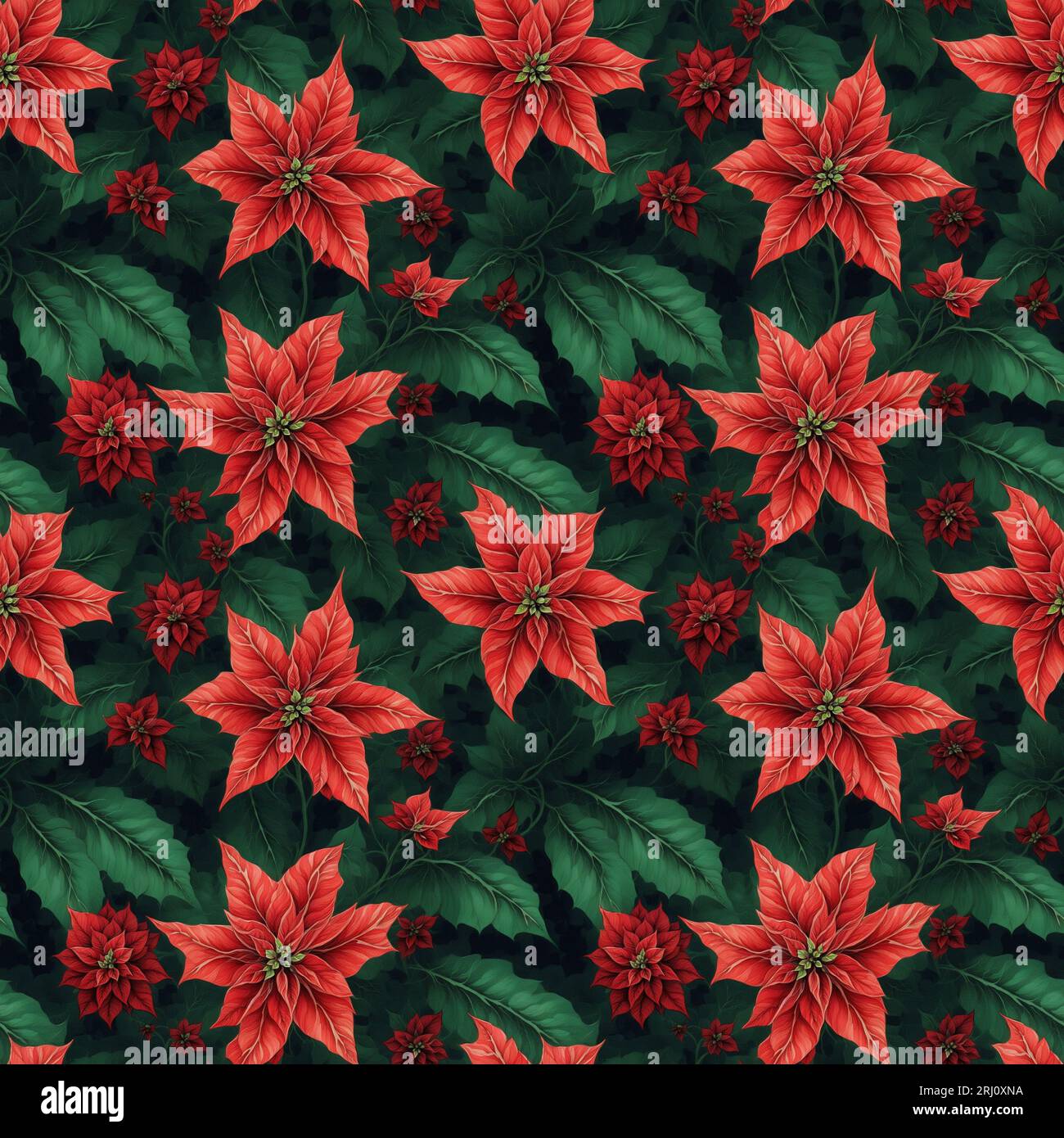 Poinsettia seamless pattern.Botanical Christmas illustration.Background ...