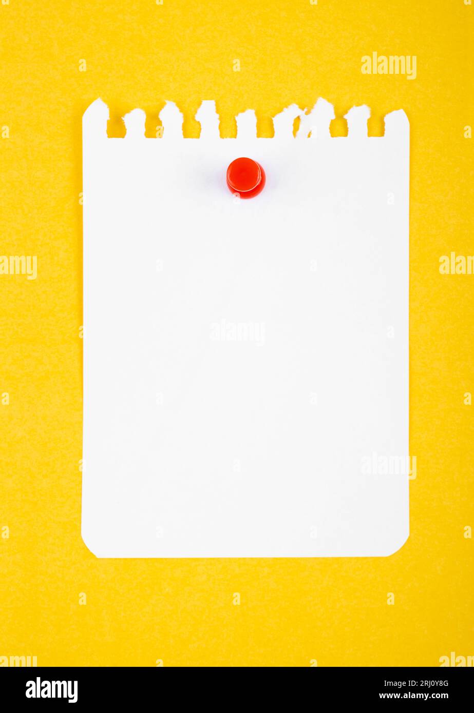 Blank white torn paper note with push pin on yellow board background ...