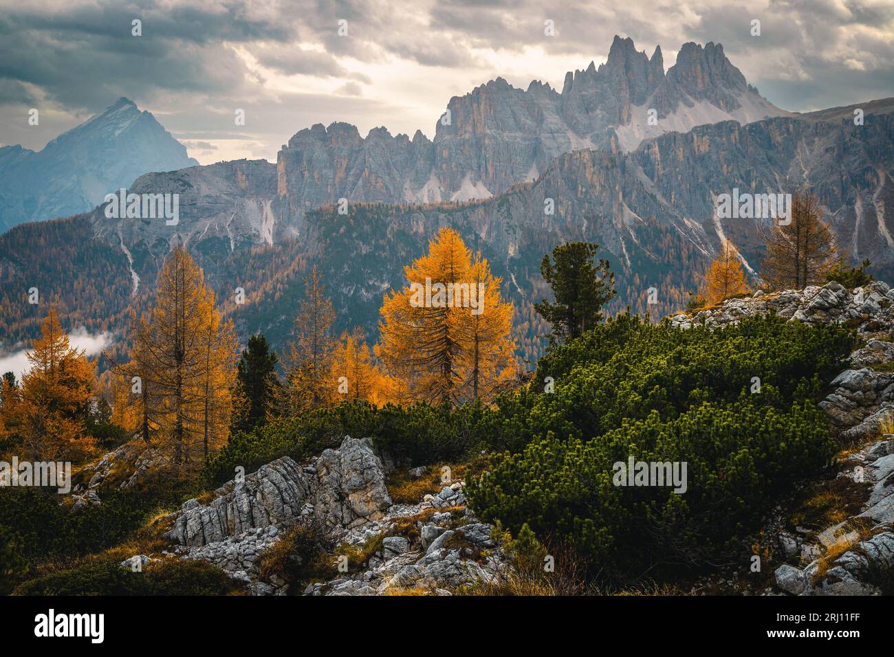 Amazing autumn scenery with colorful redwoods and spectacular lacy ...