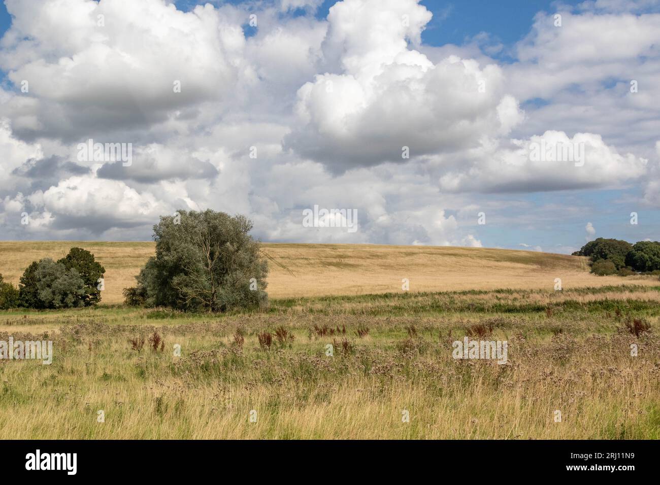 Cultivated and fallow farmland hi-res stock photography and images - Alamy