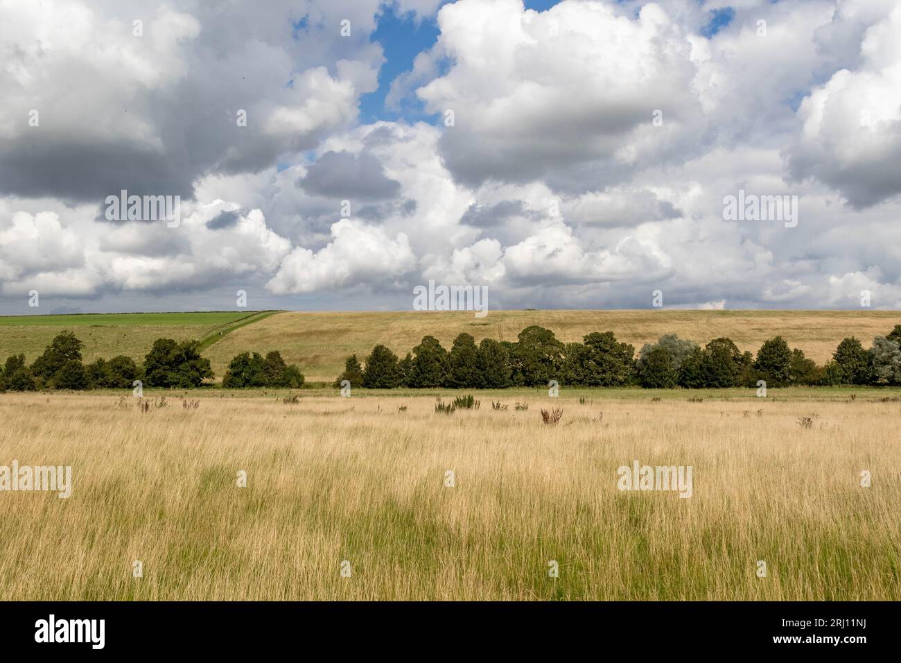 Cultivated and fallow farmland hi-res stock photography and images - Alamy
