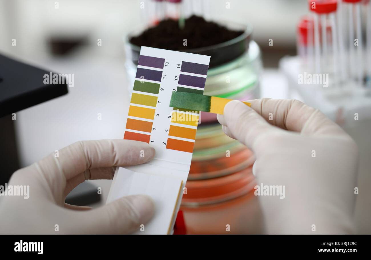 Close-up gloved hands holding litmus indicator Stock Photo - Alamy