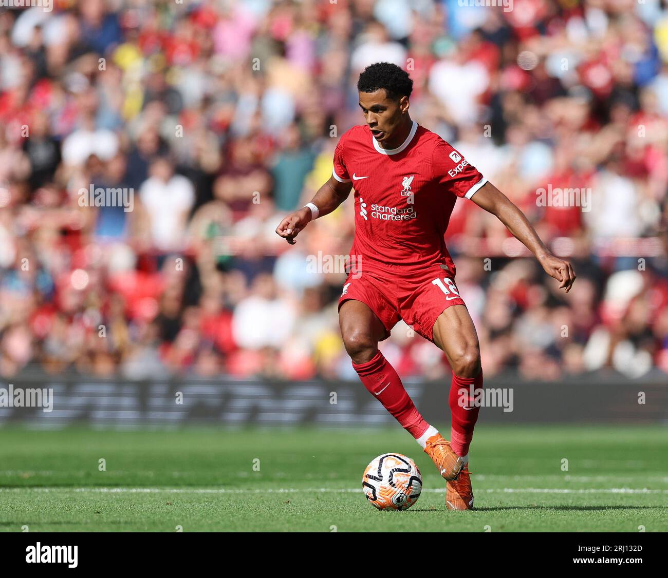 Liverpool, England, 19th August 2023. Cody Gapko of Liverpool during ...