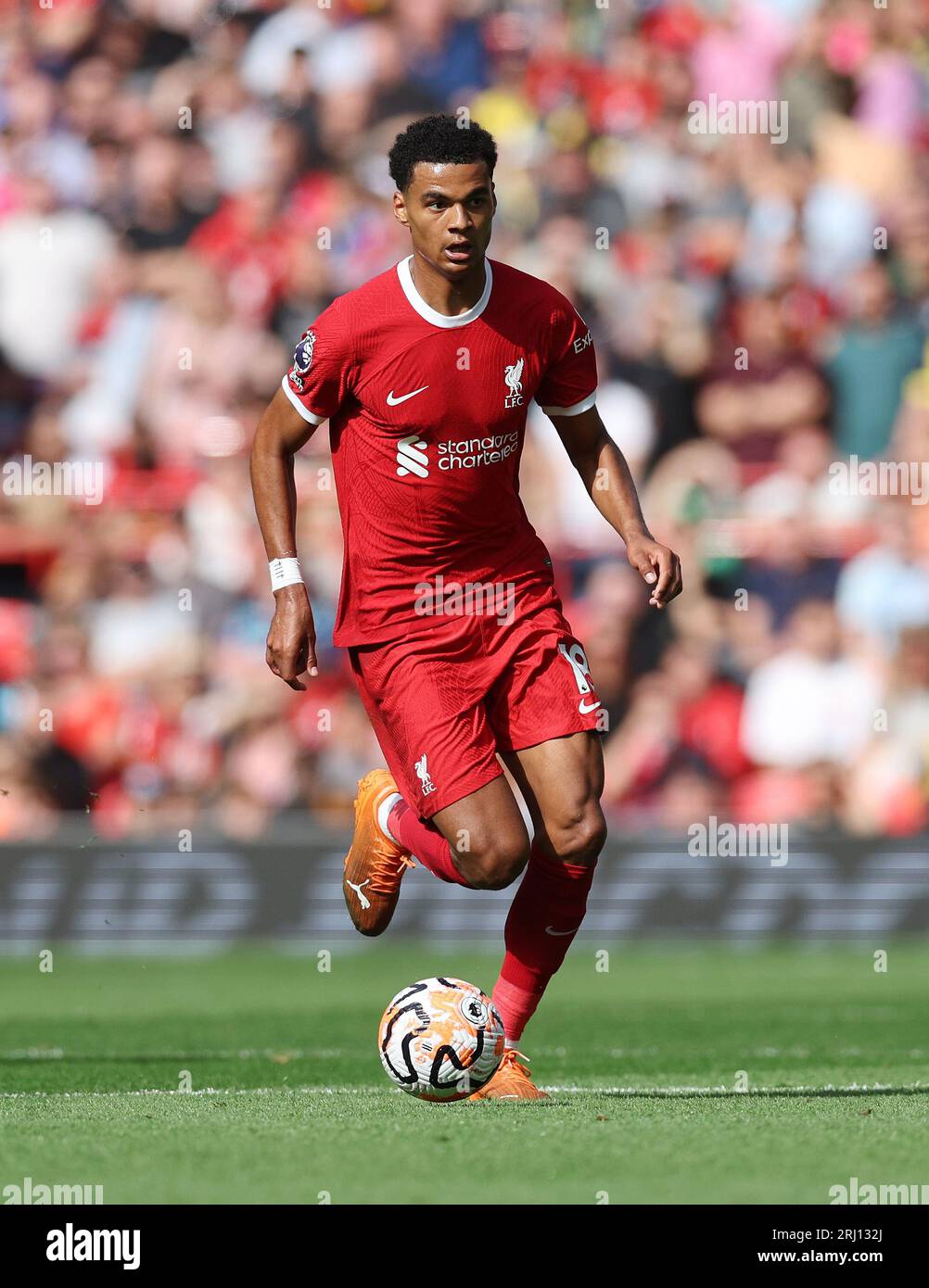 Liverpool, England, 19th August 2023. Cody Gapko of Liverpool during ...