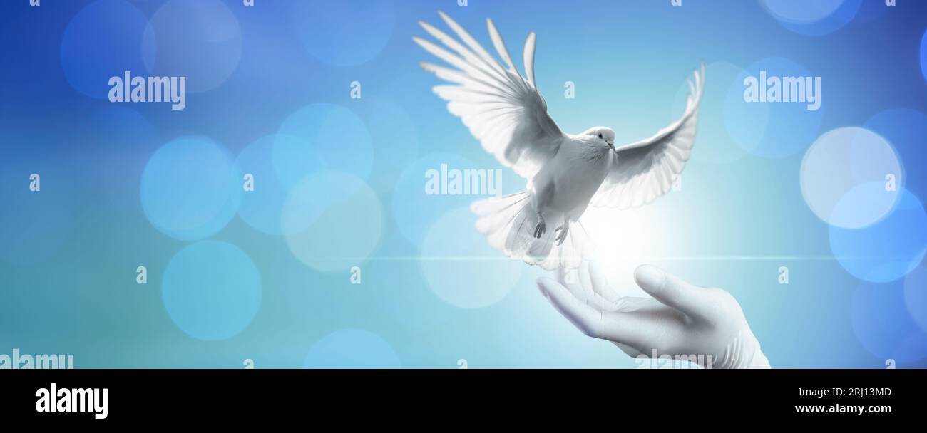 Female doctor praying and free bird enjoying nature on blue sky ...