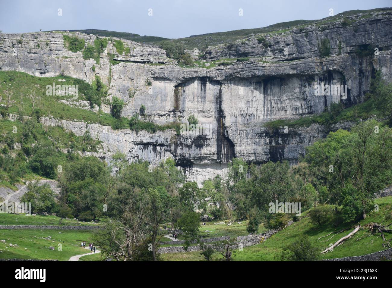 Malham cove in summer sunlight Stock Photo - Alamy