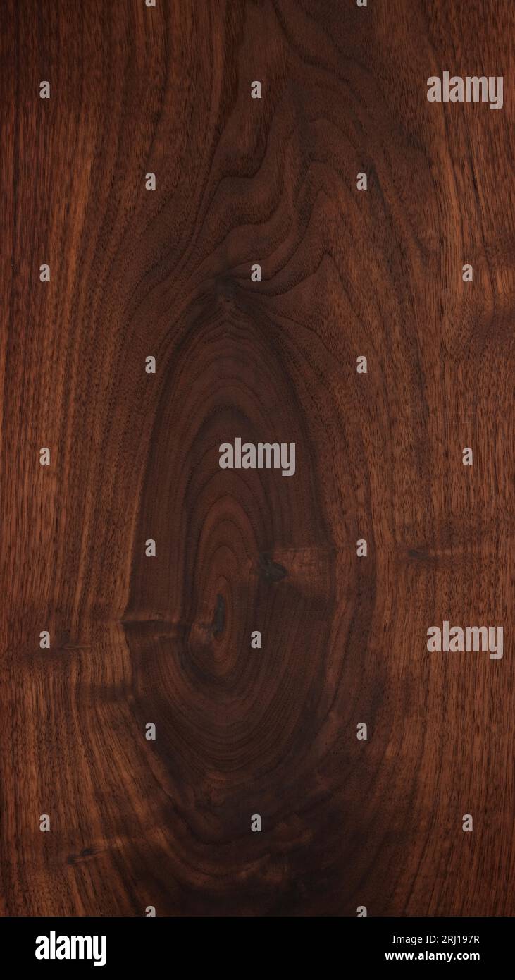 High detailed texture of black walnut finished with organic oil ...