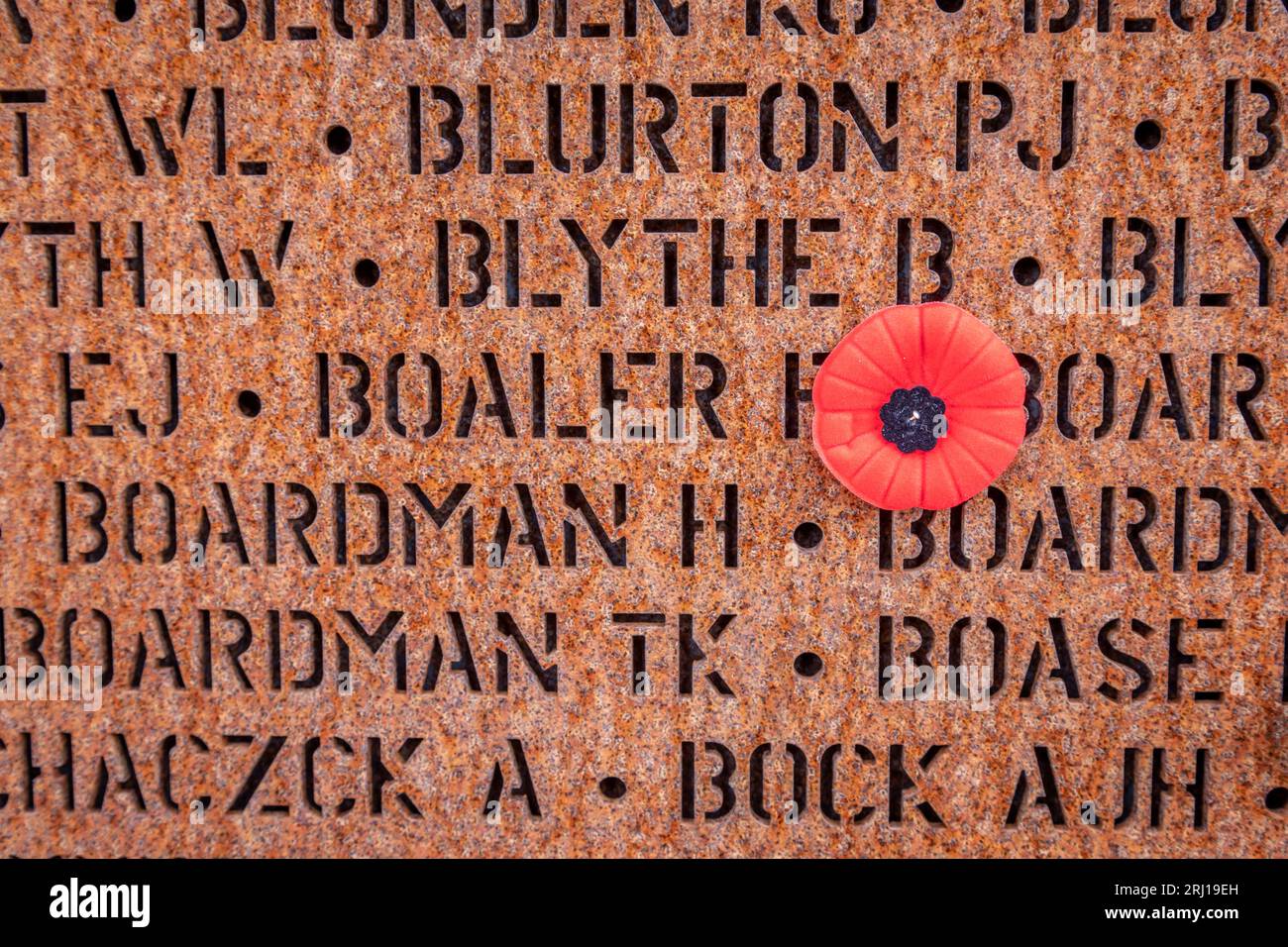 Poppy on Memorial Wall, IBCC, Lincoln, Lincolnshire, England, UK Stock ...