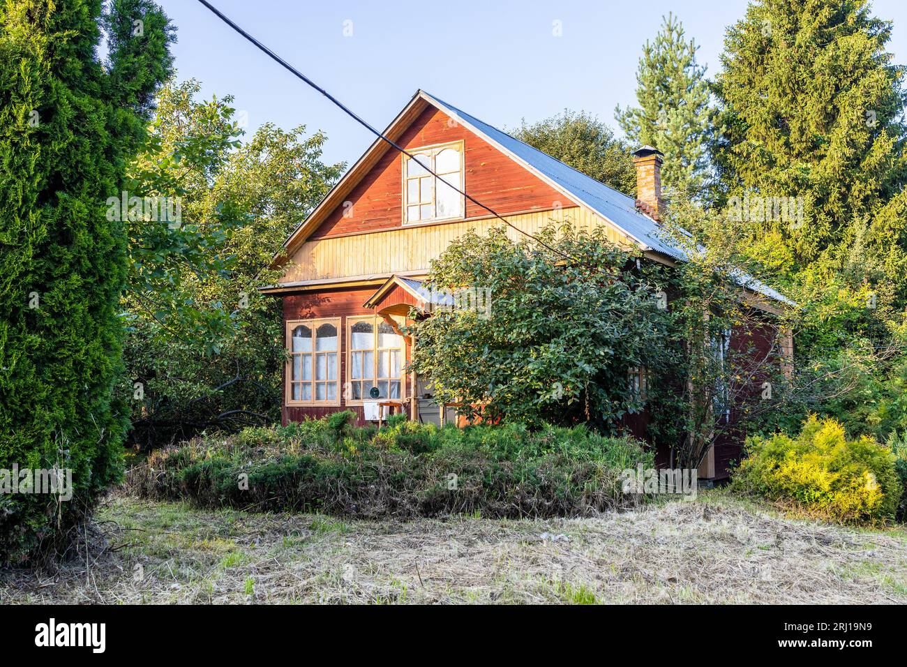view of village house and juniper bush in yard on summer evening Stock ...
