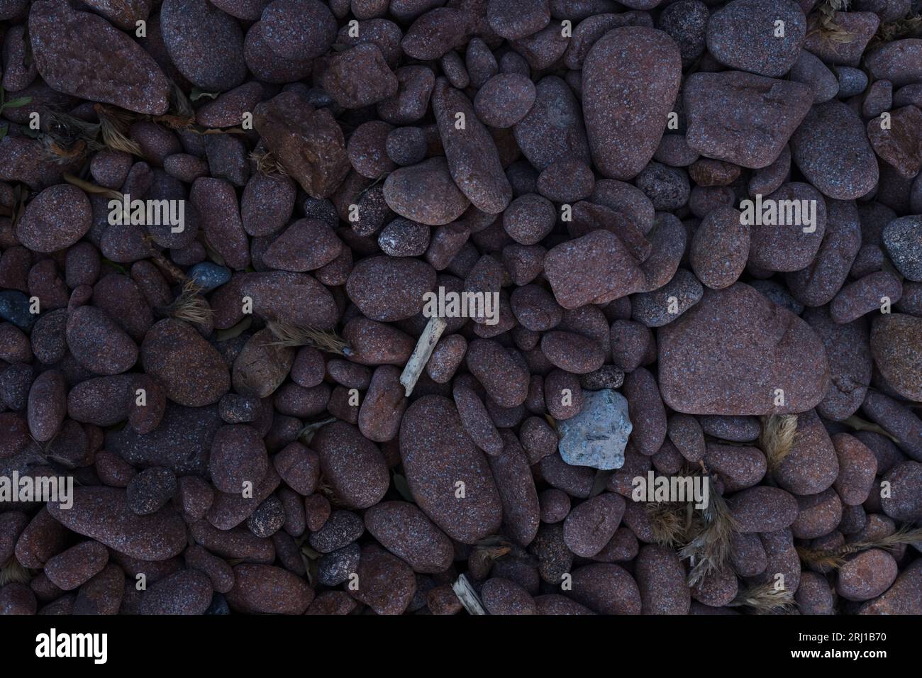 French Riviera beach with red pebbles, travel content Stock Photo - Alamy