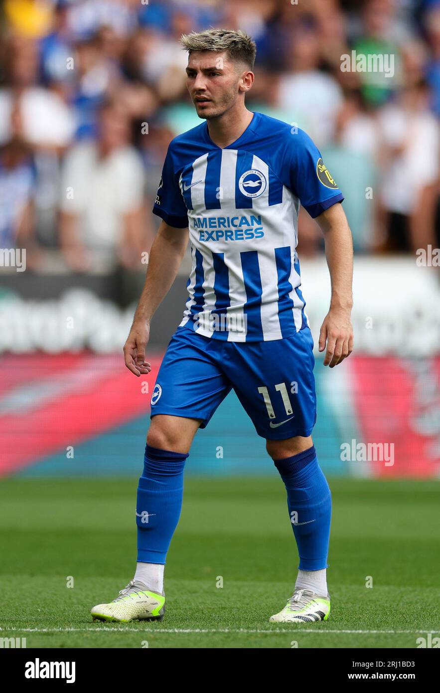 Brighton and Hove Albion's Billy Gilmour during the Premier League ...