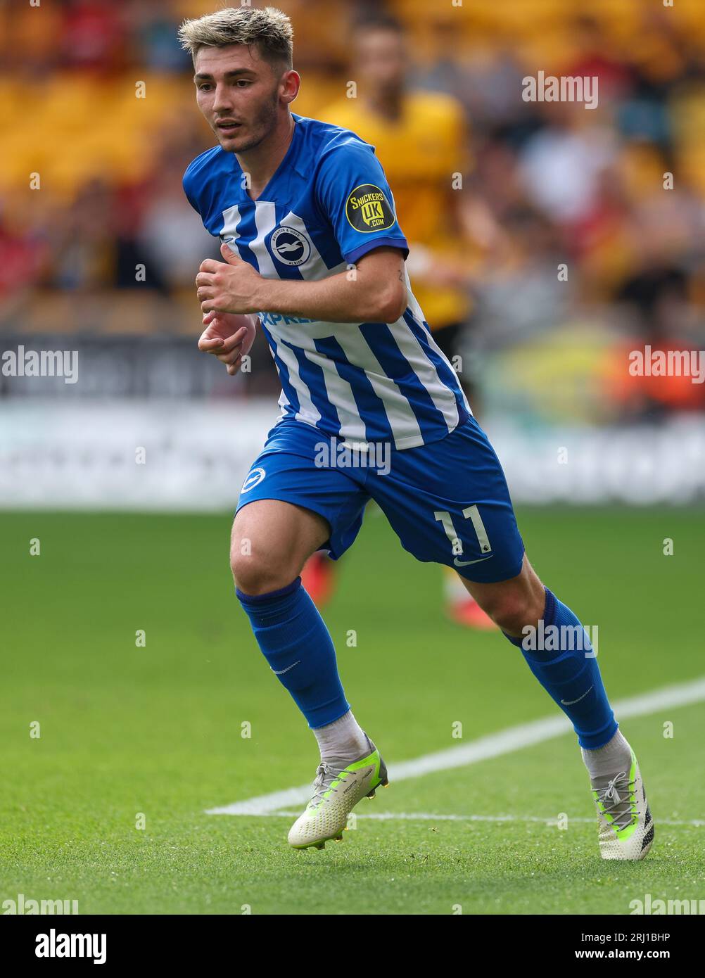 Brighton and Hove Albion's Billy Gilmour during the Premier League ...