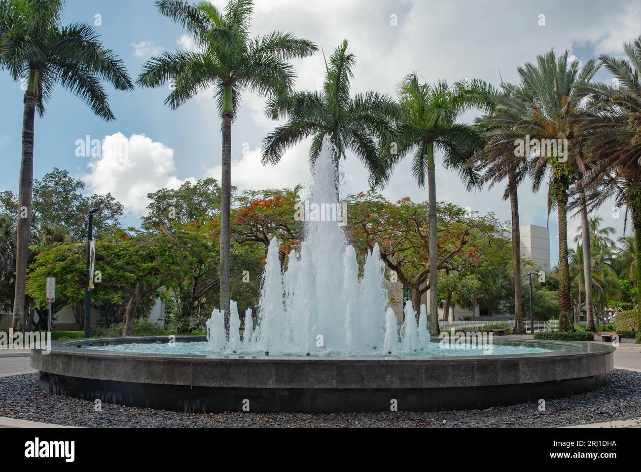 Water fountain in South Florida with coconot palm tree in background on ...