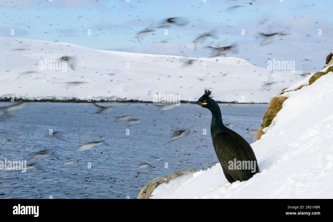 Vardo norway storm hi-res stock photography and images - Alamy
