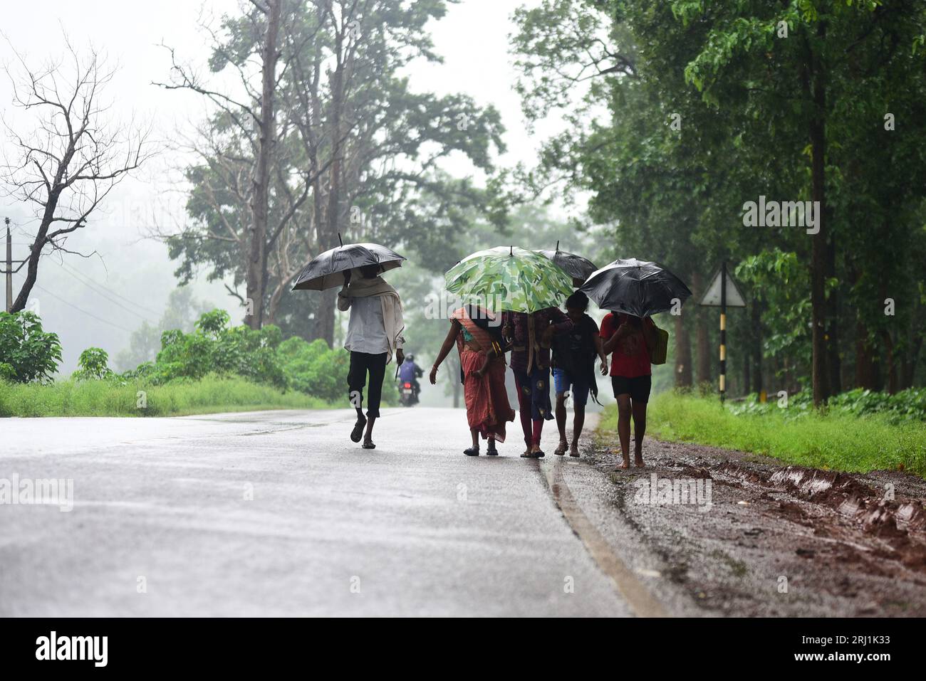 Baiga chhattisgarh hi-res stock photography and images - Alamy