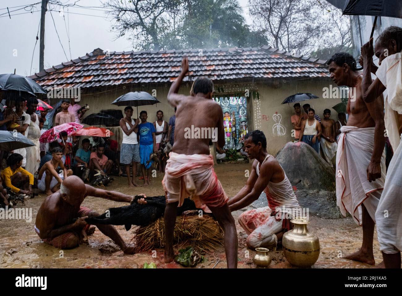 Monosa Puja is an important festival in Manbhum region. There are ...