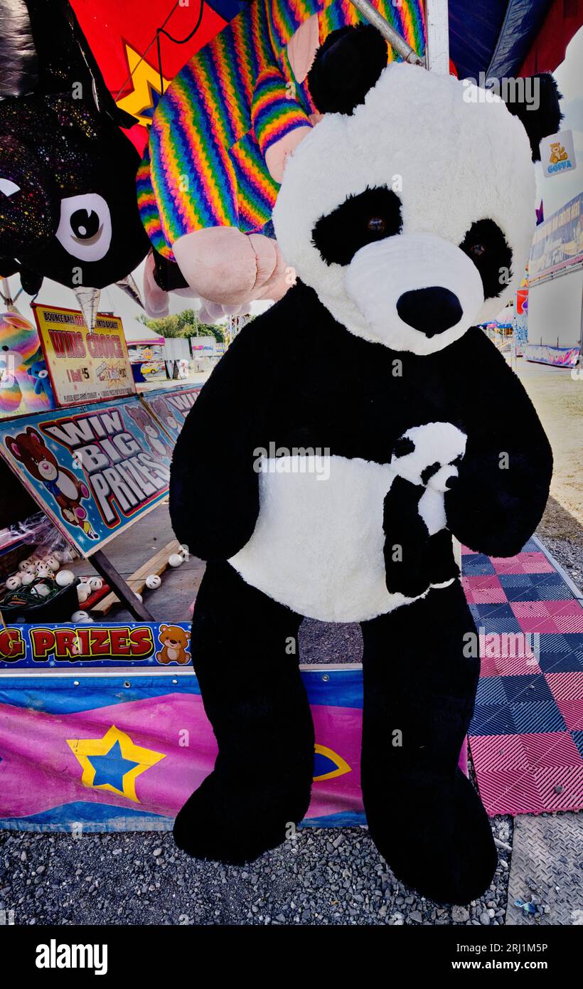 Giant teddy bear at state fair Stock Photo - Alamy