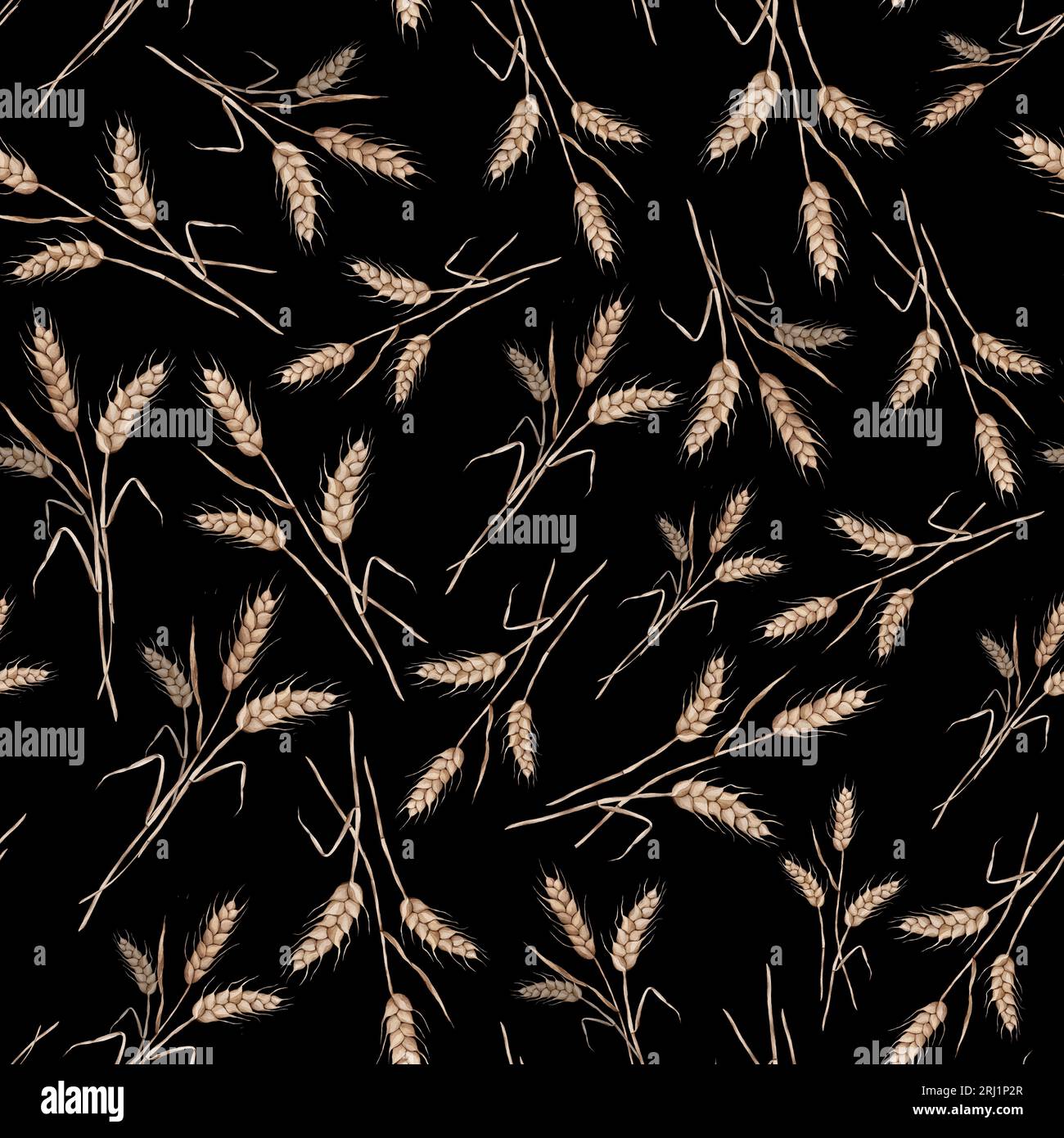 Seamless wheat spikelet pattern. Watercolor herbal background with ...