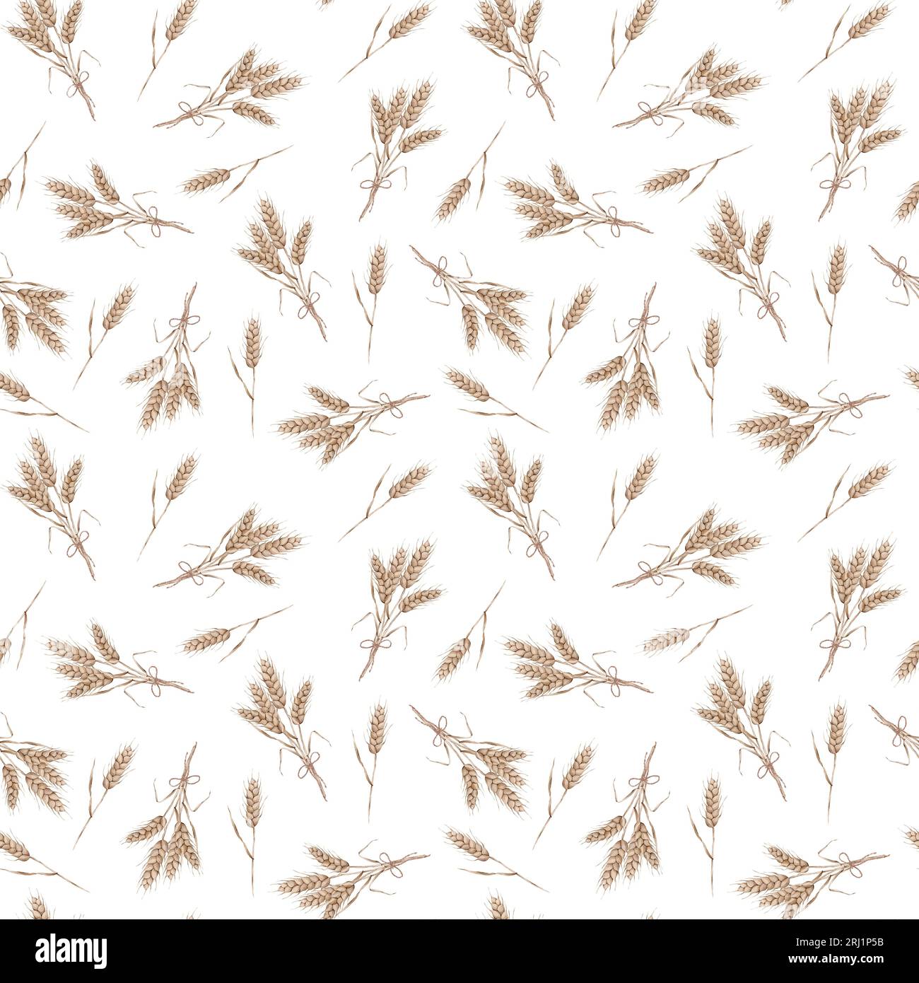 Seamless wheat spikelet pattern. Watercolor herbal background with ...