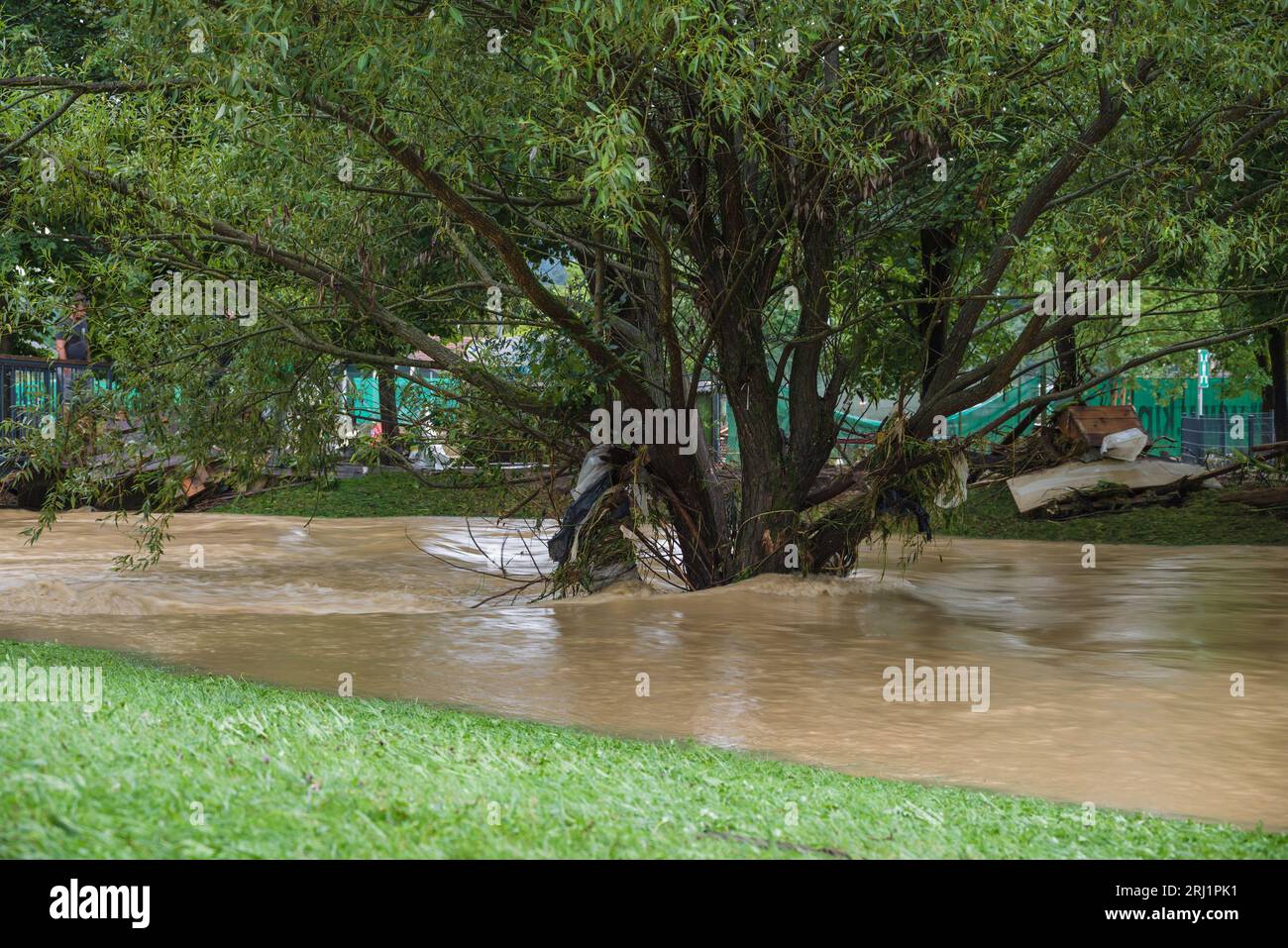 Flooded river after heavy rain. Severe weather disaster Stock Photo - Alamy