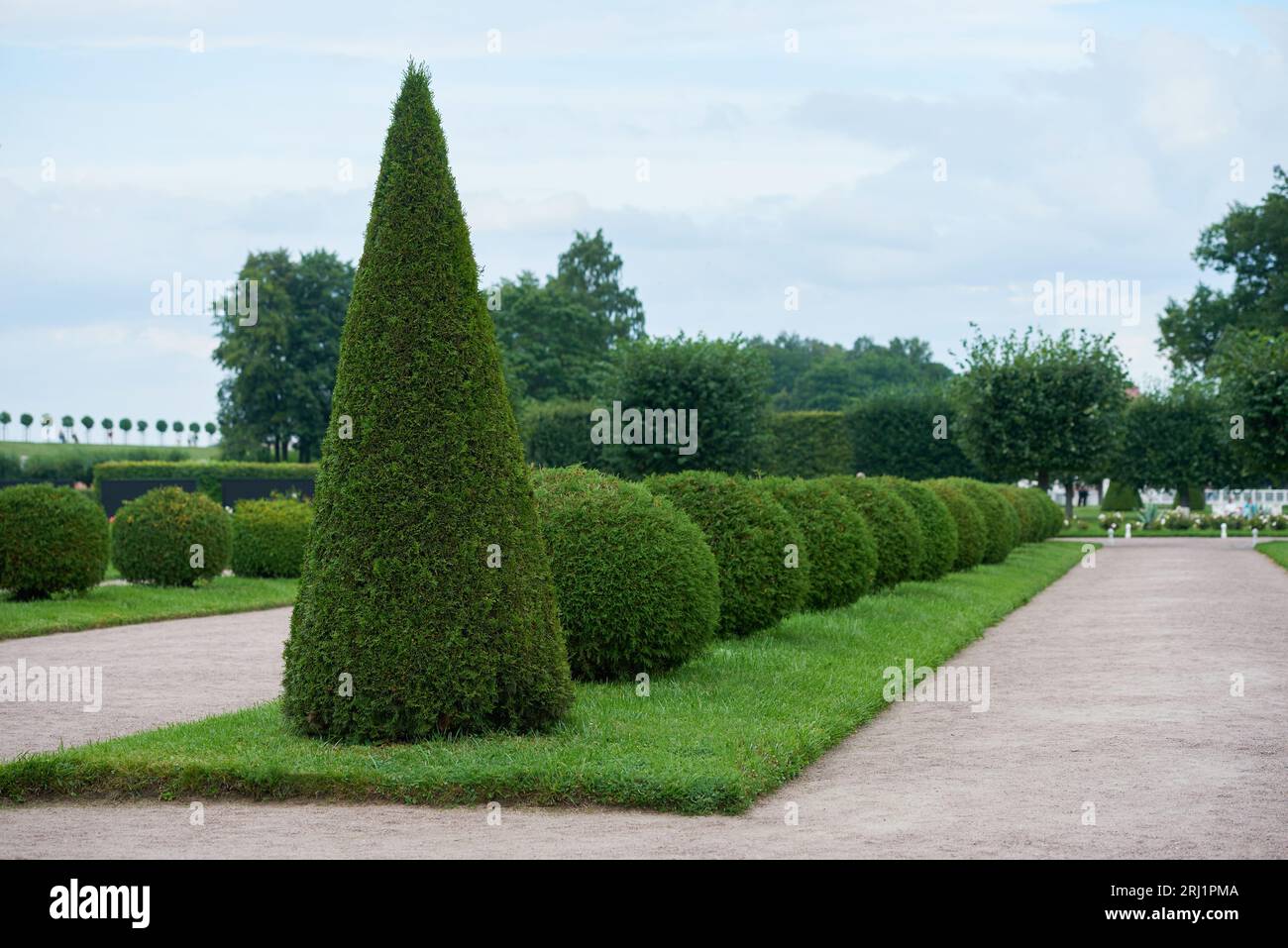 Rounded shrubs hi-res stock photography and images - Alamy