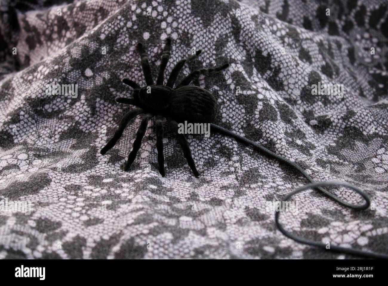 Black spider on a background that simulates a tissue Stock Photo - Alamy