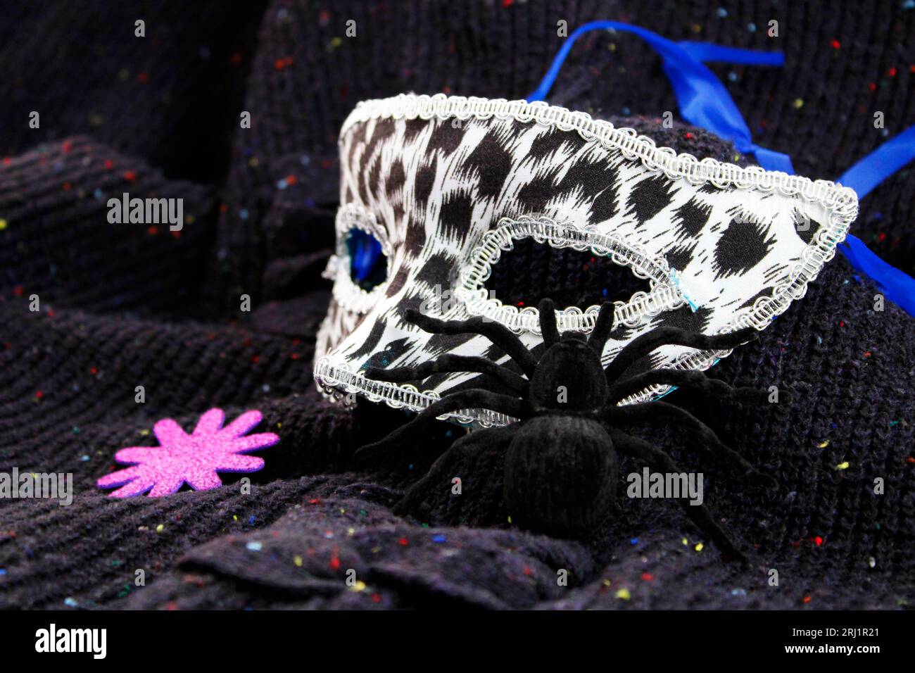 Animal face carnival mask hi-res stock photography and images - Alamy