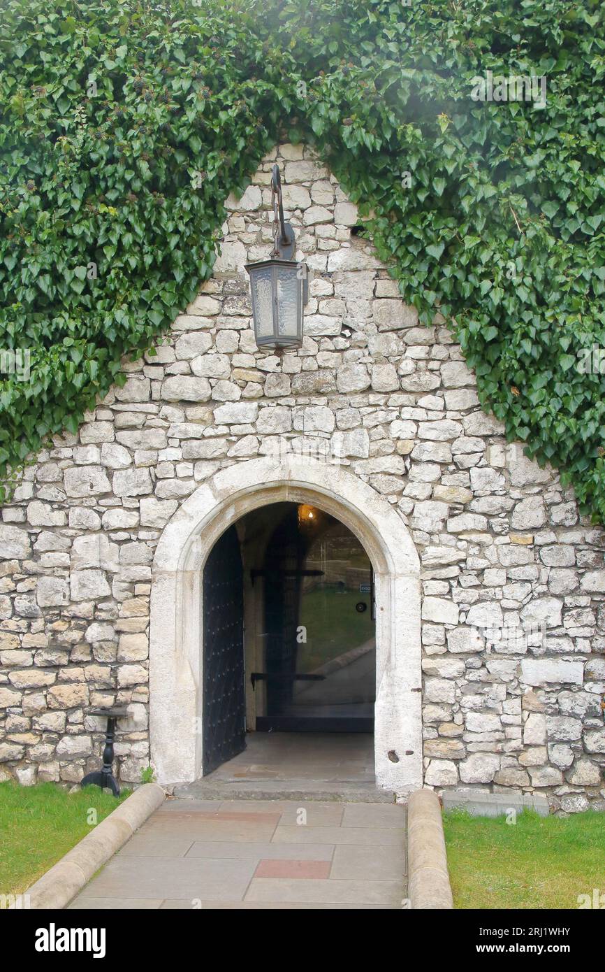 Photo taken in Krakow. In the photo, an ivy-covered entrance for a ...
