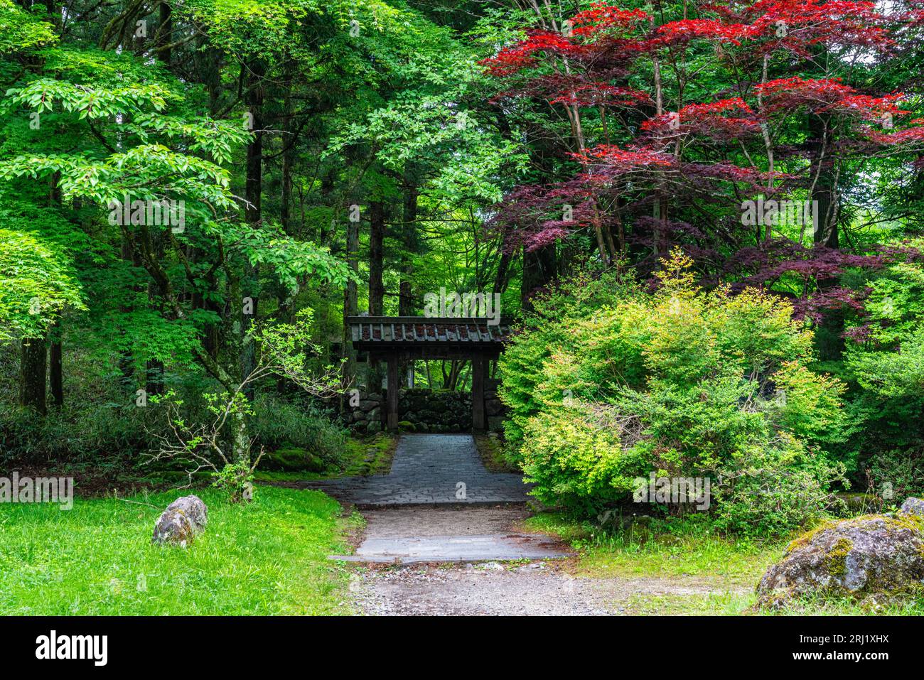 Scenic sight in the famous Kanmangafuchi Abyss in Nikko. Tochigi ...