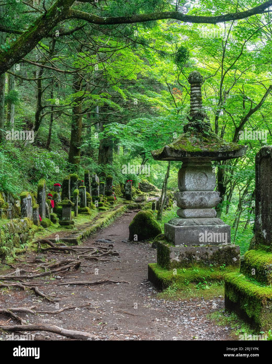 Scenic sight in the famous Kanmangafuchi Abyss in Nikko. Tochigi ...