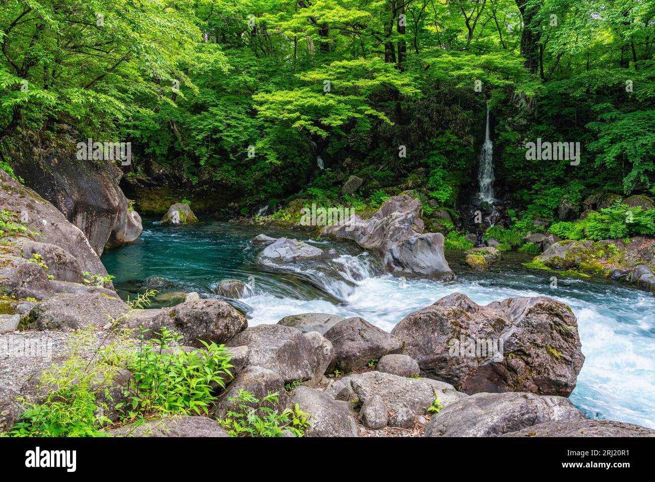Scenic sight in the famous Kanmangafuchi Abyss in Nikko. Tochigi ...
