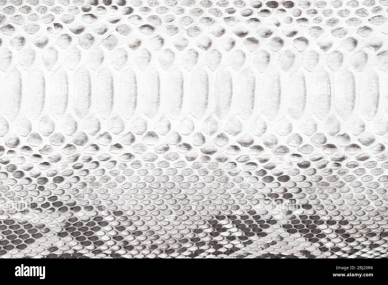 scaly texture of leather background, luxury python skin Stock Photo - Alamy