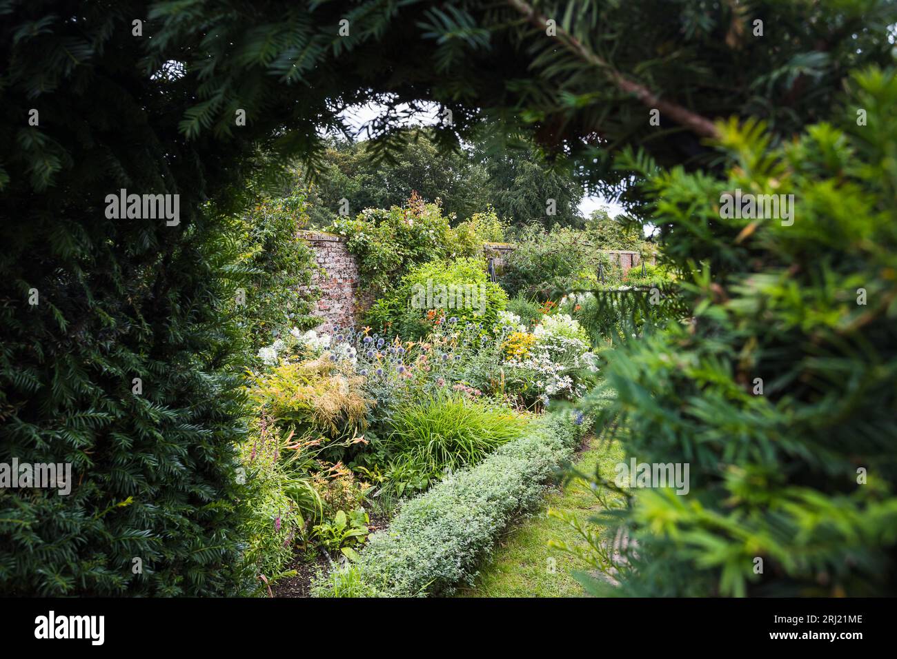 A beautiful walled garden in full bloom pictured through a lush shrub ...