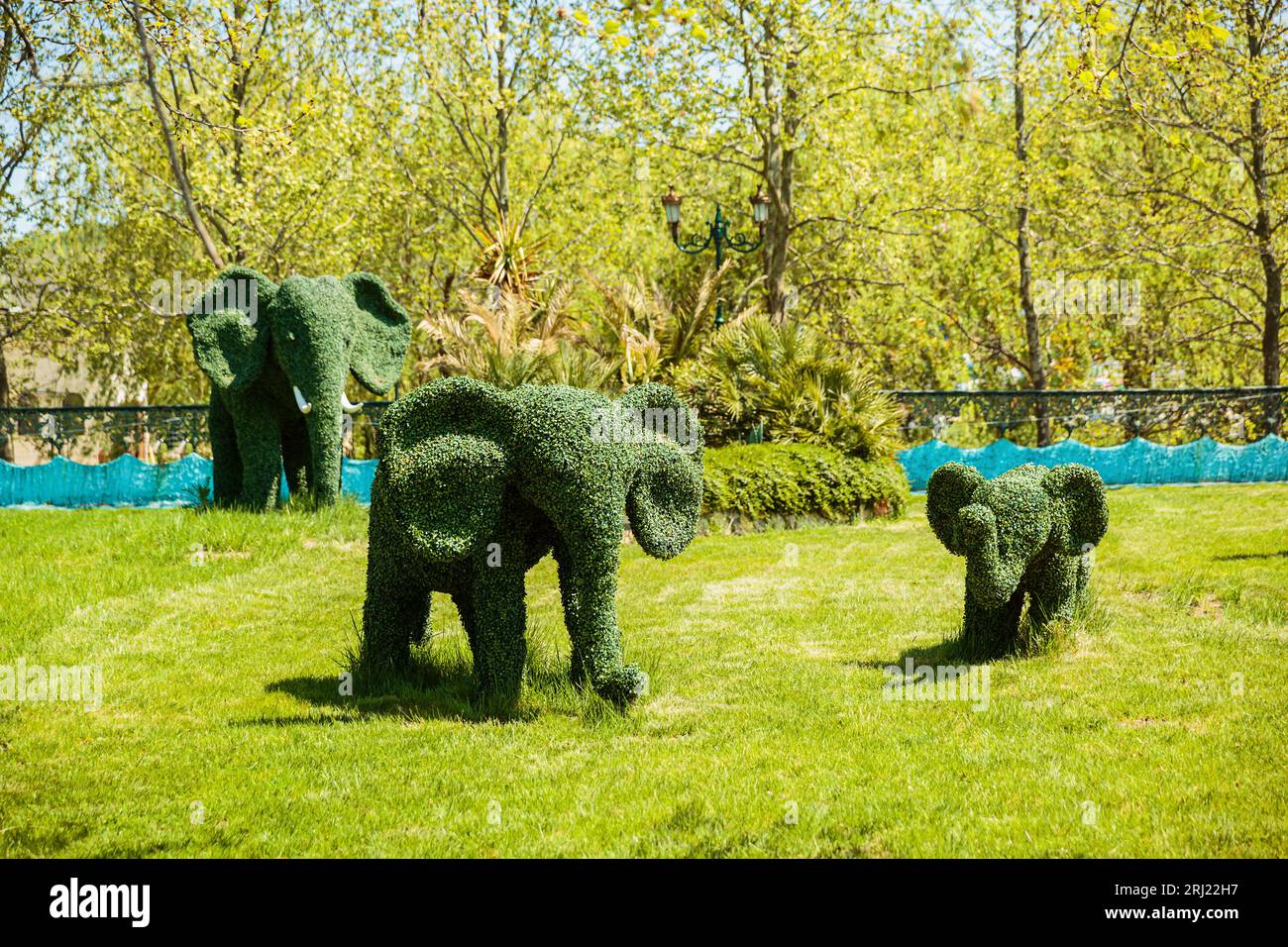 The figures of the topiary in form of elephants Stock Photo - Alamy