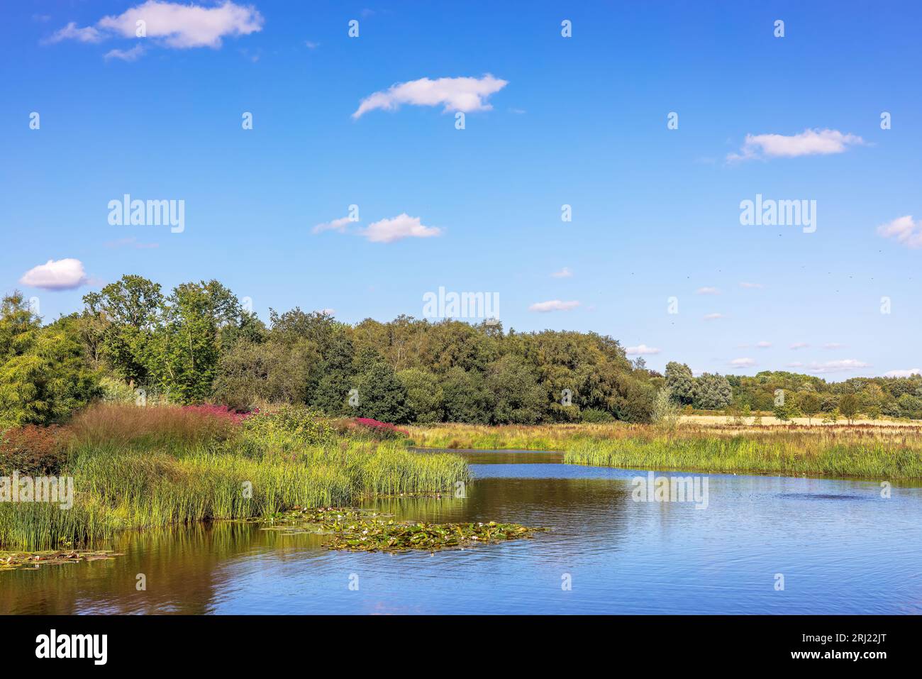 Moon bridge water bridgewater gardens hi-res stock photography and ...
