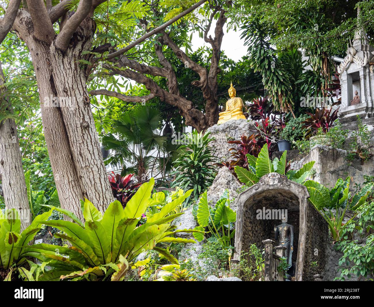 A serene garden featuring palm trees and a seated golden Buddha statue ...
