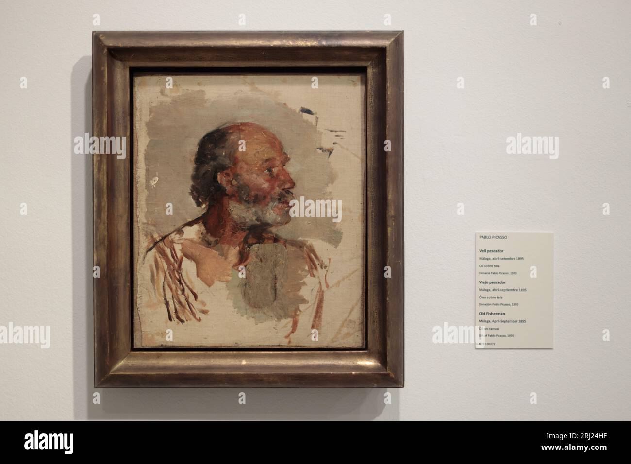 The Old Fisherman Picasso