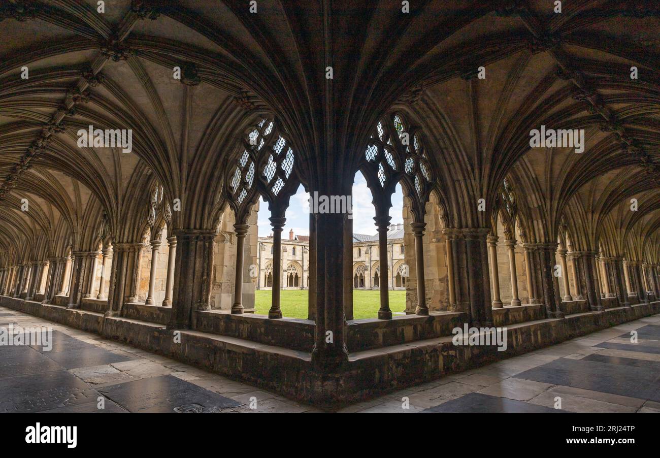 The beautiful cloisters in Norwich Cathedral surrounds a quadrangle ...