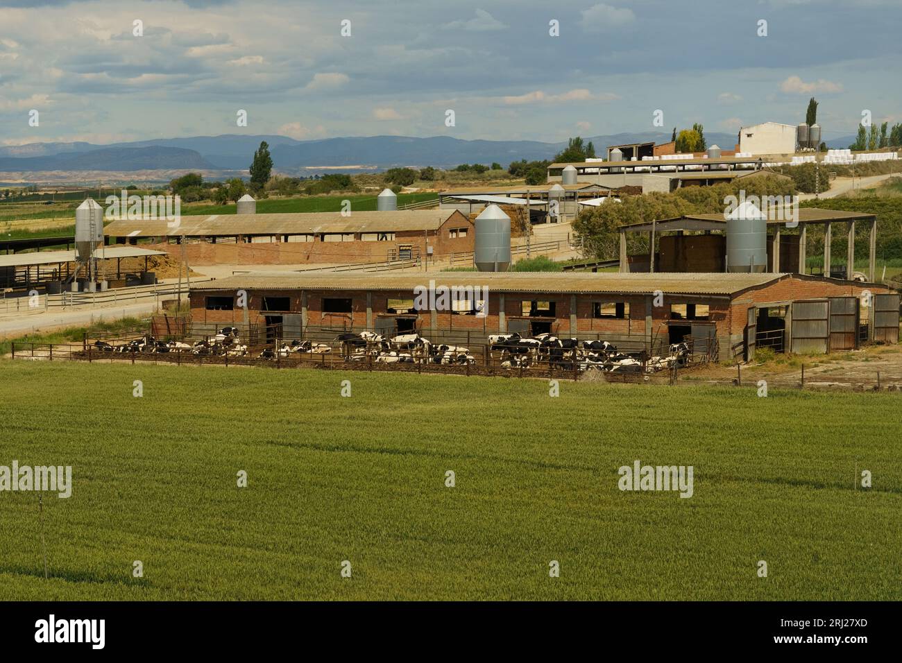 View of a field and a farm in Spain with cows Stock Photo - Alamy