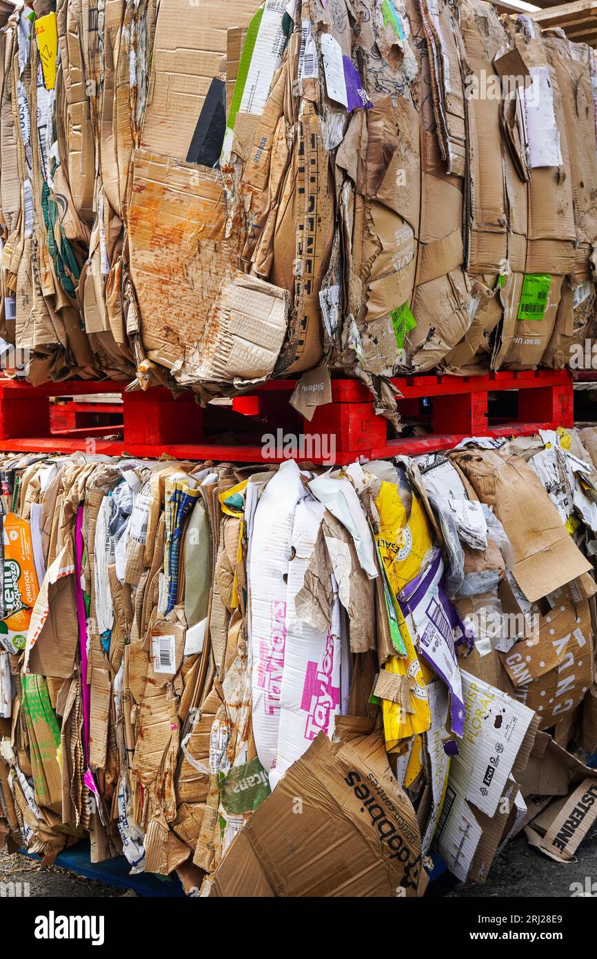 Pallet of baled and compressed waste cardboard ready for recycling ...