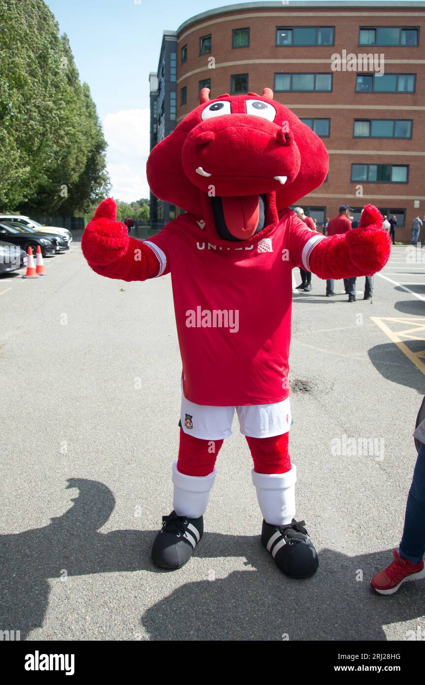 Terry boyle football hi-res stock photography and images - Alamy