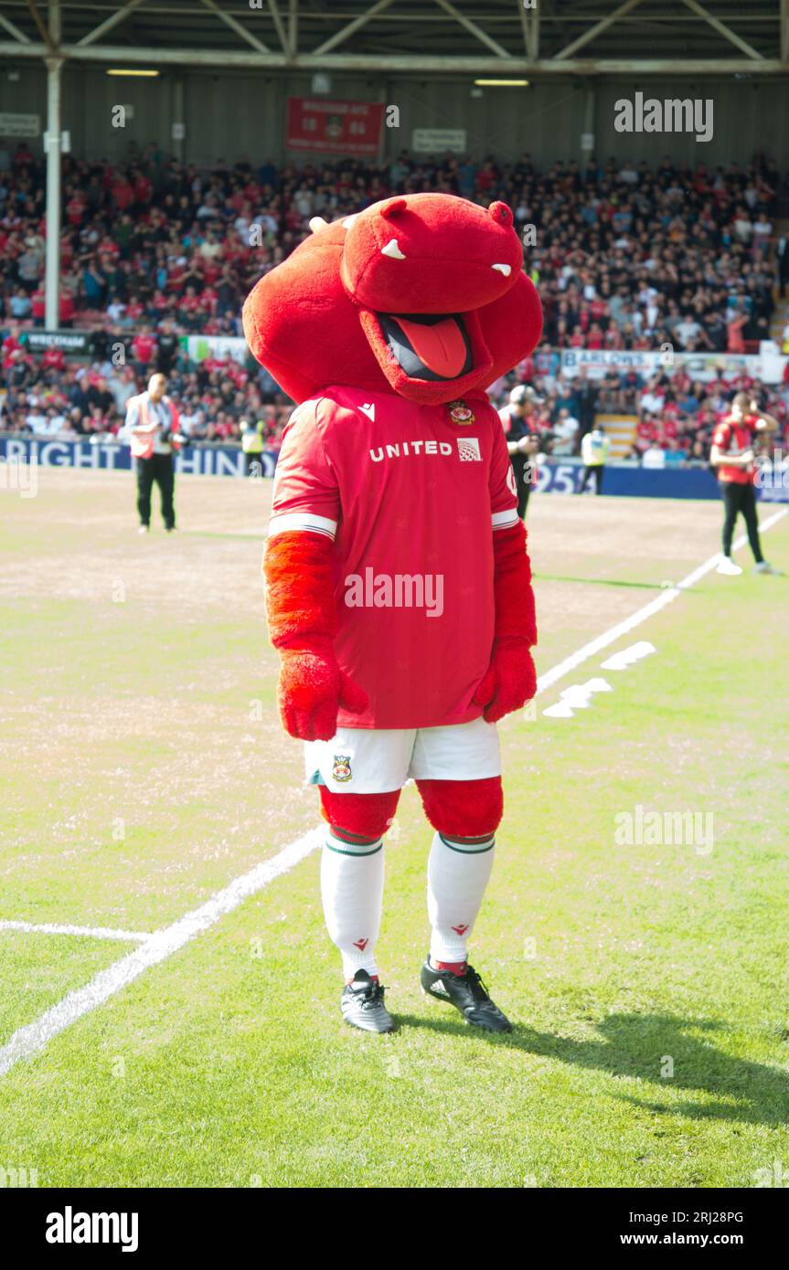 Tom brewitt swindon hi-res stock photography and images - Alamy