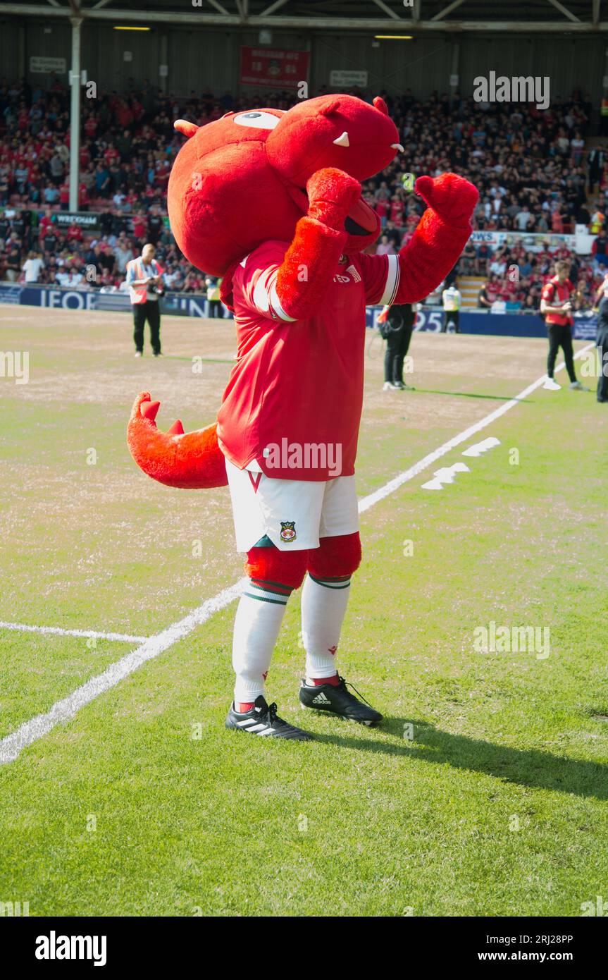 William boyle 25 hi-res stock photography and images - Alamy