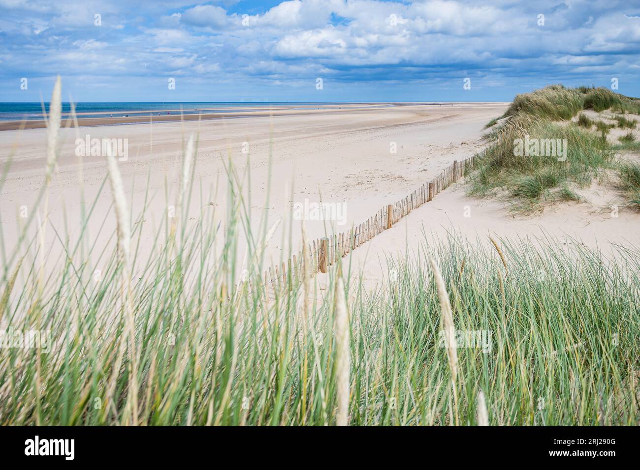 The stunning beach at Holkham on the North Norfolk coast seen behind ...