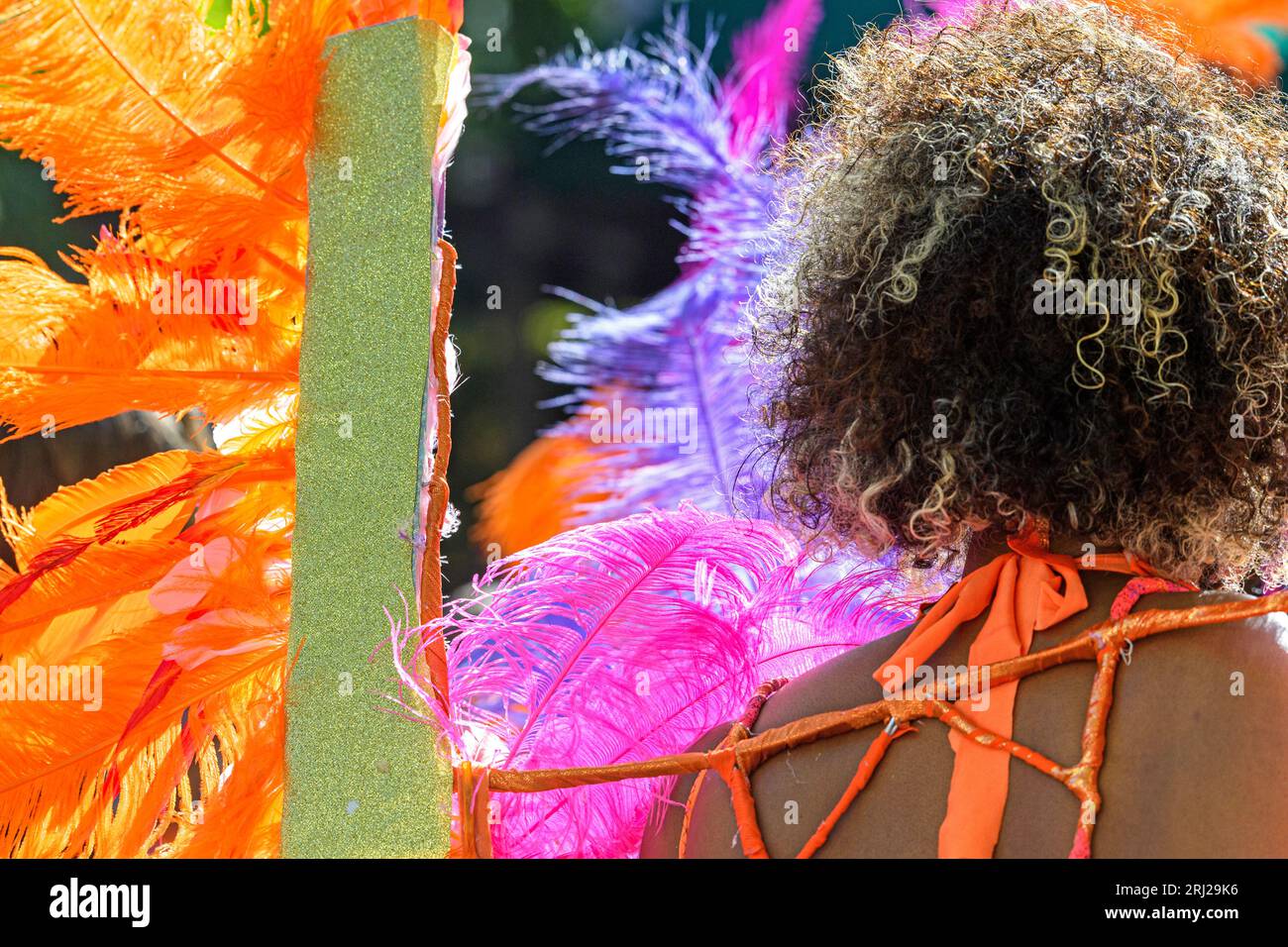 Carifest Calgary is an annual cultural festival and parade which ...