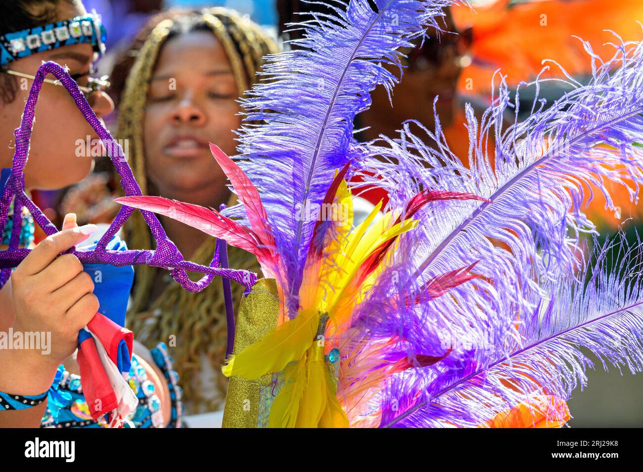Carifest Calgary is an annual cultural festival and parade which ...