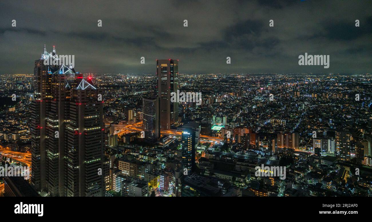 The beautiful panorama from the Tokyo Metropolitan Government Building ...