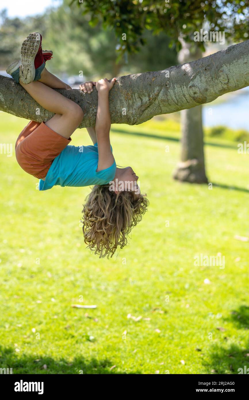 Kid climbing on a tree branch. Child climbs a tree Stock Photo - Alamy