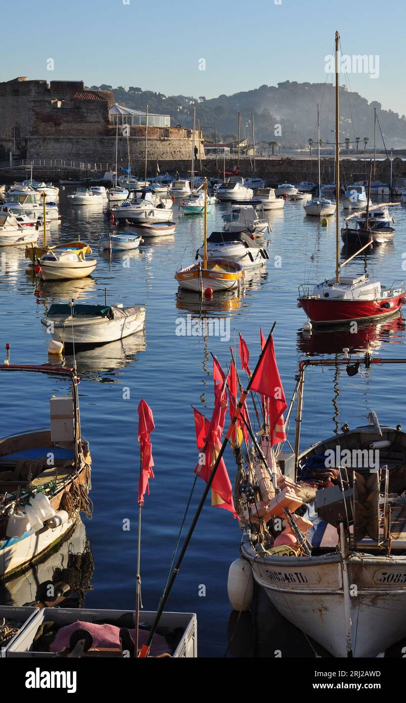Typical Provencal fishing boats at the small port St Louis du Mourillon ...