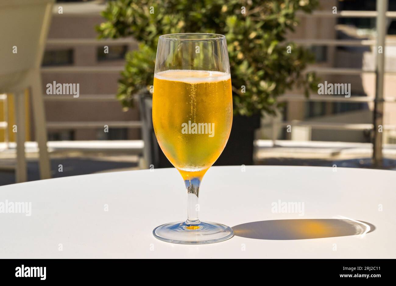 Close up view of a glass of chillded golden colour lager beer on a ...